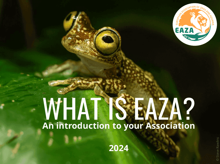 Showcase EAZA Activities